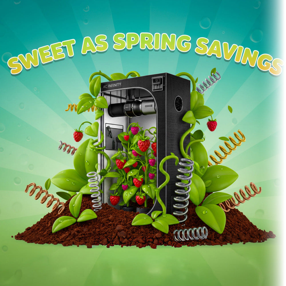 EPIC AC INFINITY Sale