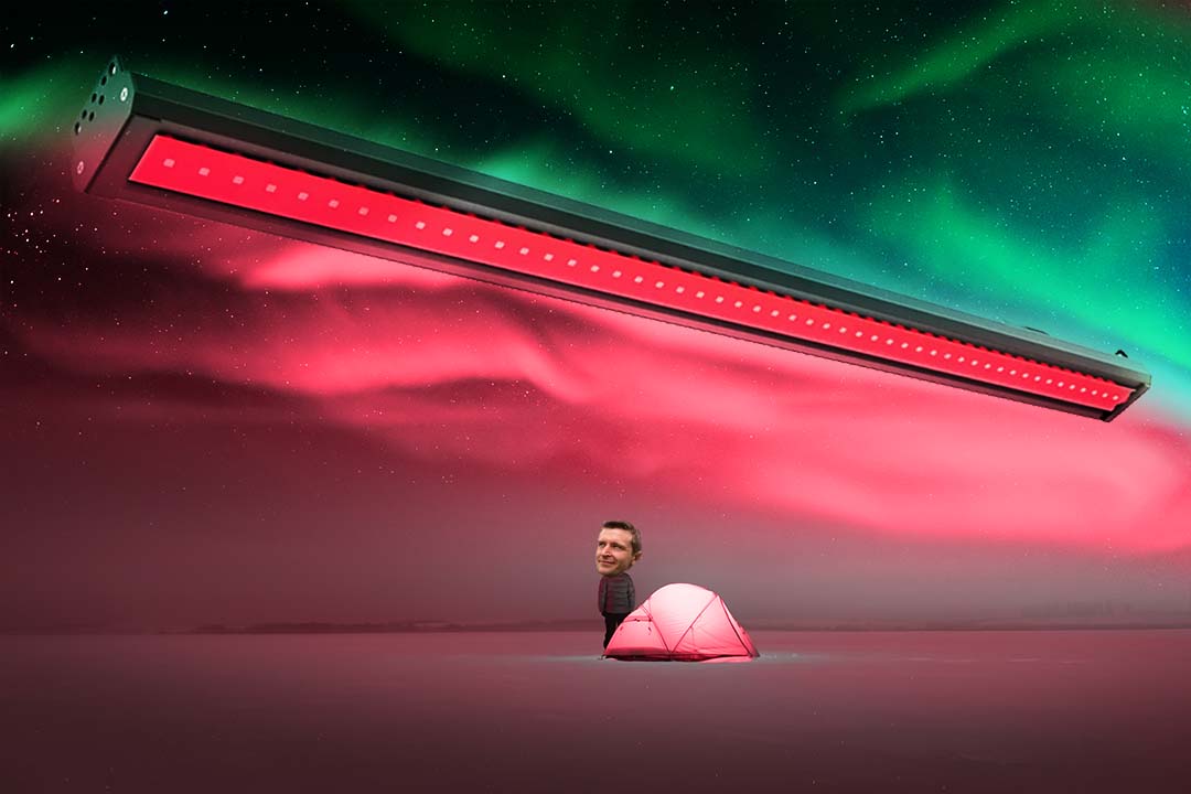 How infrared light effects plant growth | Herbal House NZ