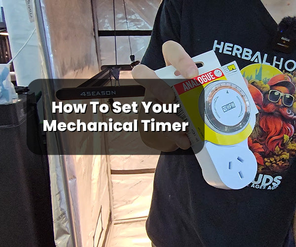 How To Set Your Mechanical Timer: A Simple Guide | Herbal House
