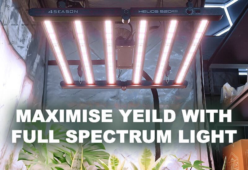 Best LED Grow Light in NZ? Discover the Power of the Helios 520 EVO+ ...
