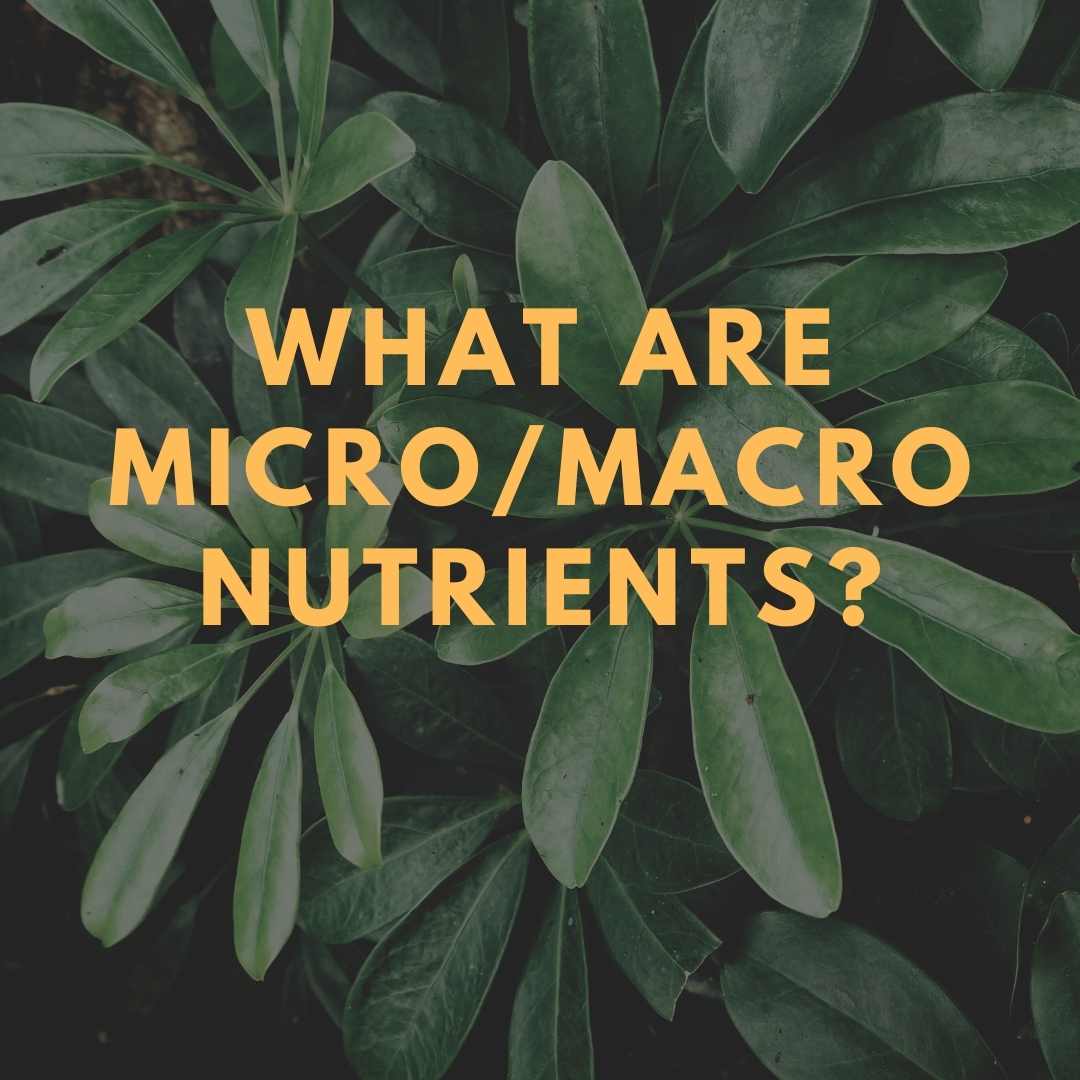 What are Micro/Macro Nutrients? | Herbal House