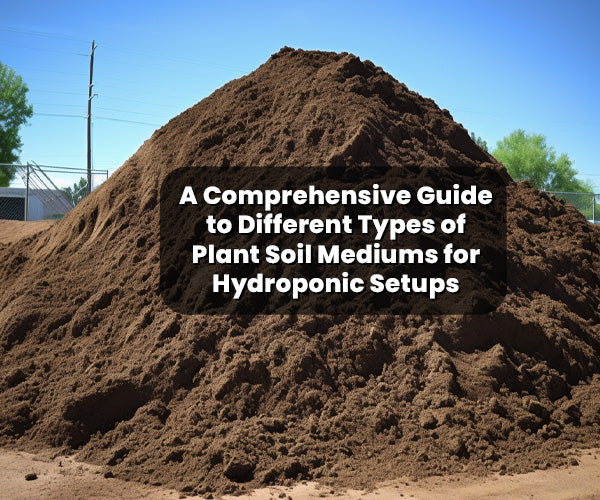 Guide to Different Types of Plant Soil Mediums for Hydroponic Setups