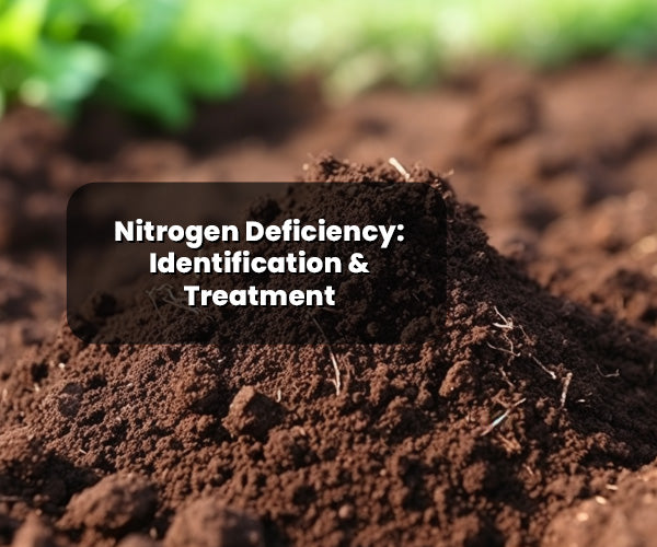 Nitrogen Deficiency: Identification and Treatment | Herbal House