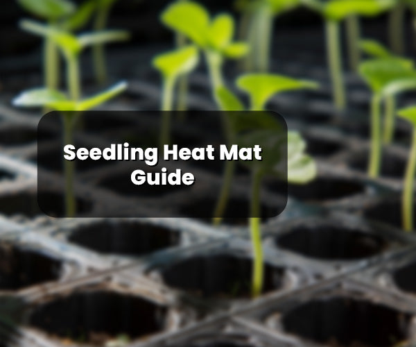 Guide to Successful Germination With Seedling Heat Mats | Herbal House