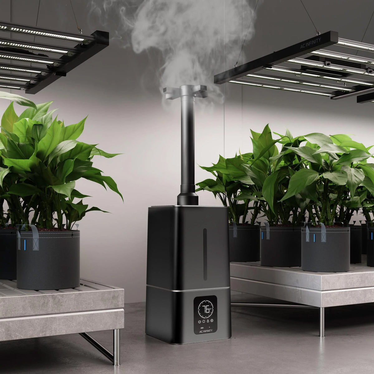 Plant Humidifiers | Herbal House NZ