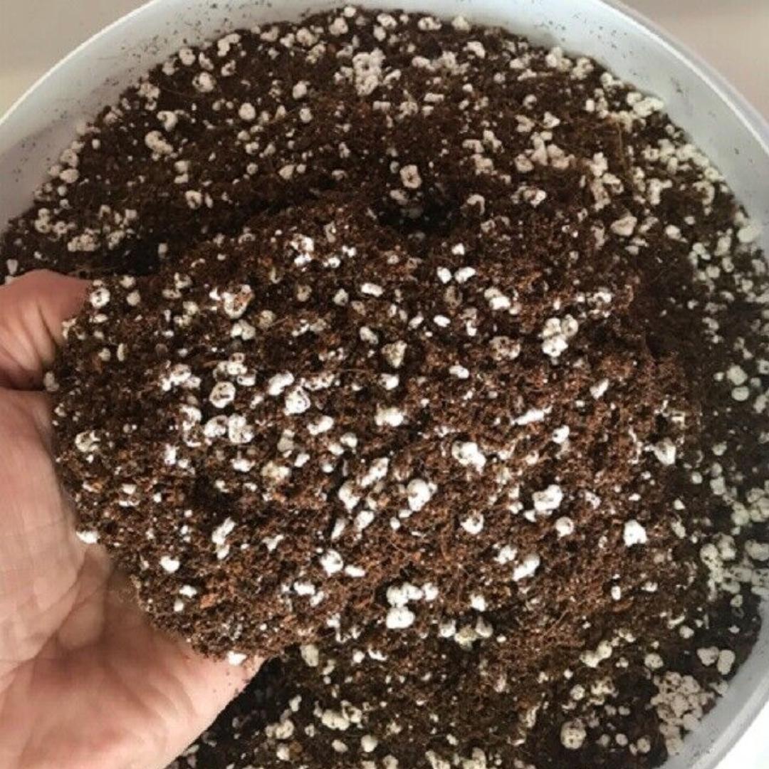 Coco Perlite 50L, 70/30 Soil Mix | Herbal House NZ