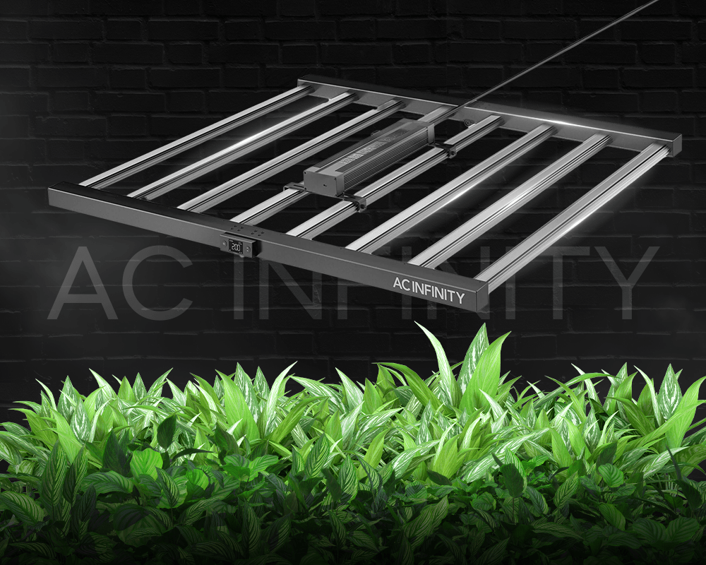 AC Infinity Grow Lights