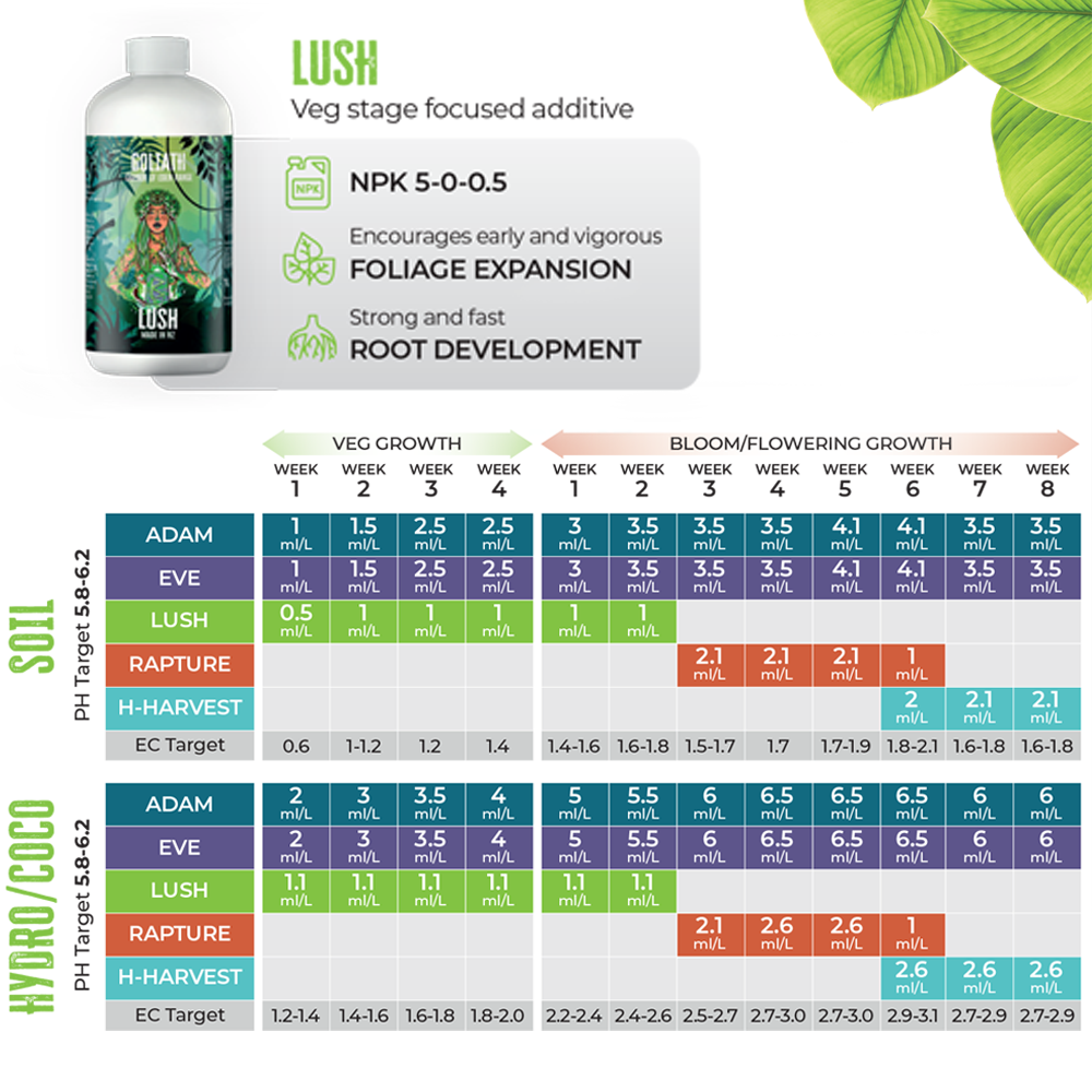 LUSH - Veg Nutrient | Herbal House NZ
