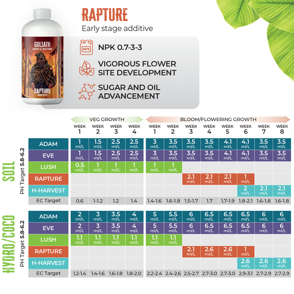 Rapture - Early Bloom | Herbal House NZ