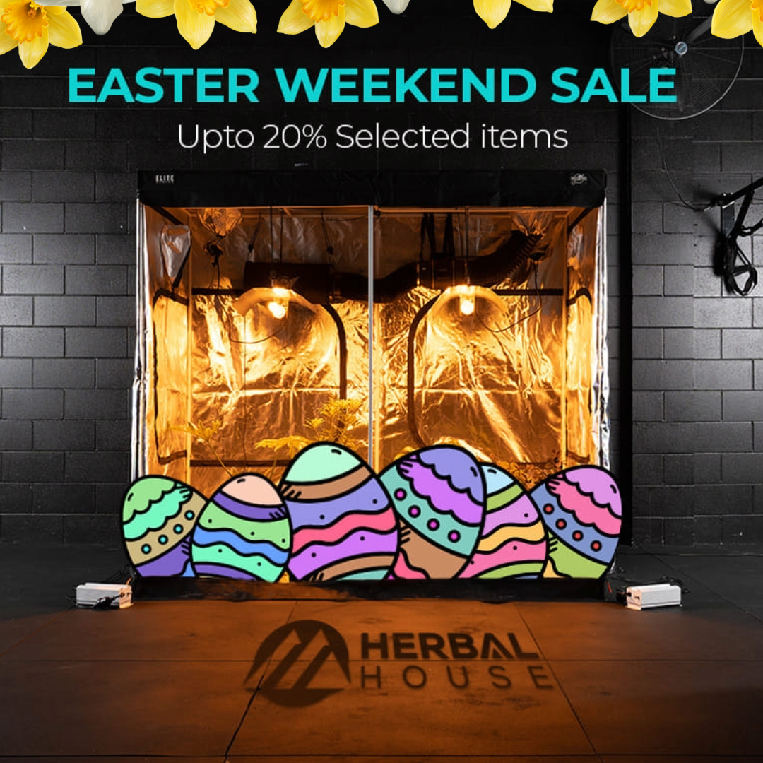 Easter Sale Image